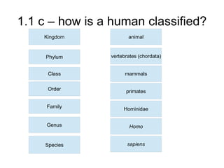 Lesson 2 classification systems | PDF