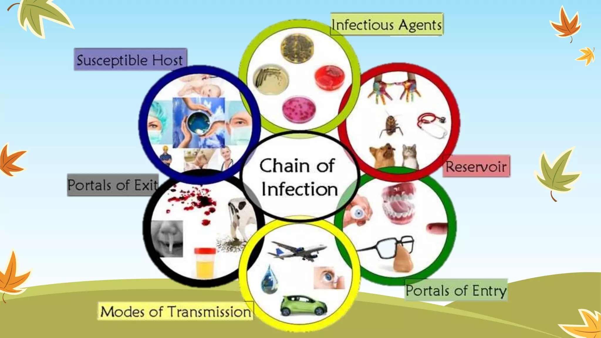 Common beliefs about the causes of diseases | PPTX