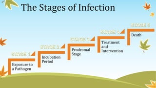 Common beliefs about the causes of diseases | PPTX