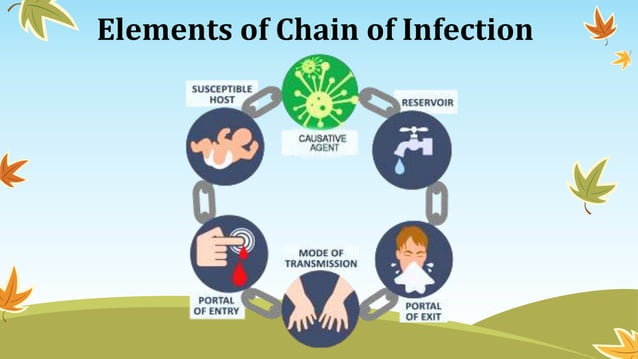 Common beliefs about the causes of diseases | PPTX | Infectious ...