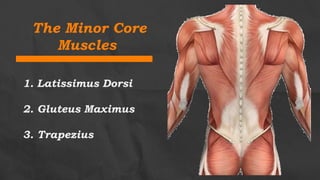 LESSON 2- CORE MUSCLES of the human body | PPTX