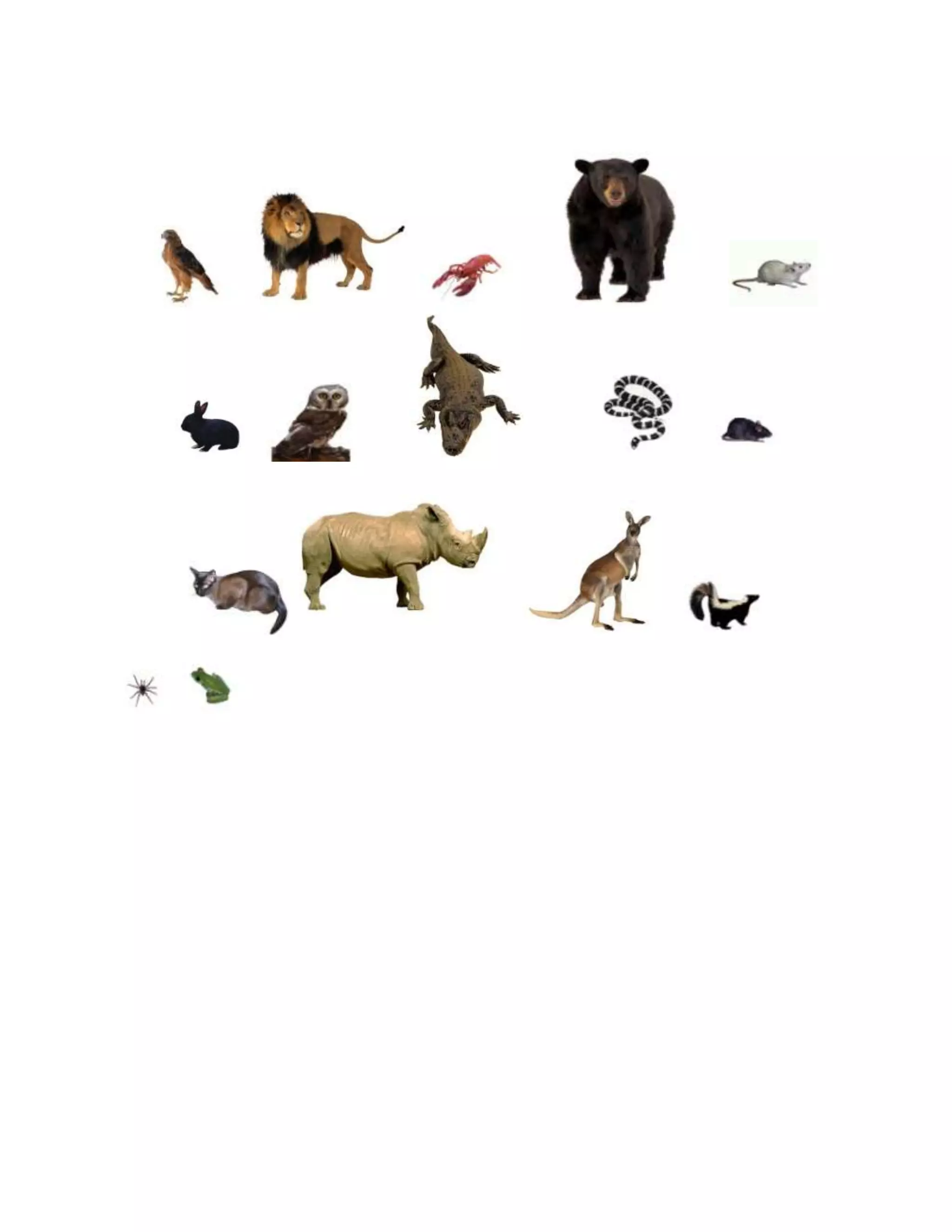 Lesson 2 cut and paste animals | DOCX