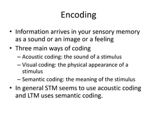 Lesson 2 duration, capacity encoding recording copy | PPTX | Digital ...