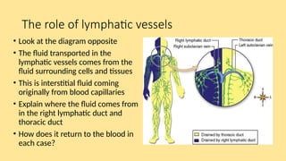 Function of the Lymphatic System (1) (4).pptx