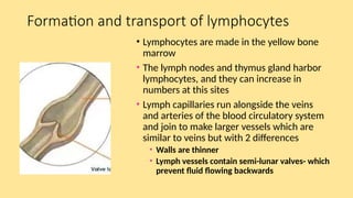 Function of the Lymphatic System (1) (4).pptx