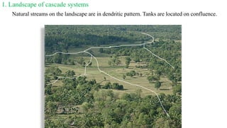 Lesson 2 importance of tank cascade systems | PPT
