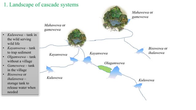 Lesson 2 importance of tank cascade systems | PPT