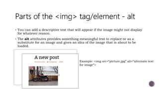 HTML5 - Insert images and Apply page backgrounds | PPT