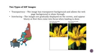 HTML5 - Insert images and Apply page backgrounds | PPT