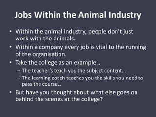 Lesson 2 jobs within the animal industry | PPTX