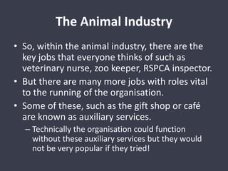 Lesson 2 jobs within the animal industry | PPTX