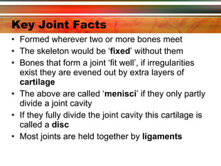 Lesson 2 joints | PPT