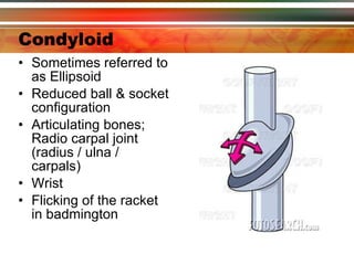 Lesson 2 joints | PPT