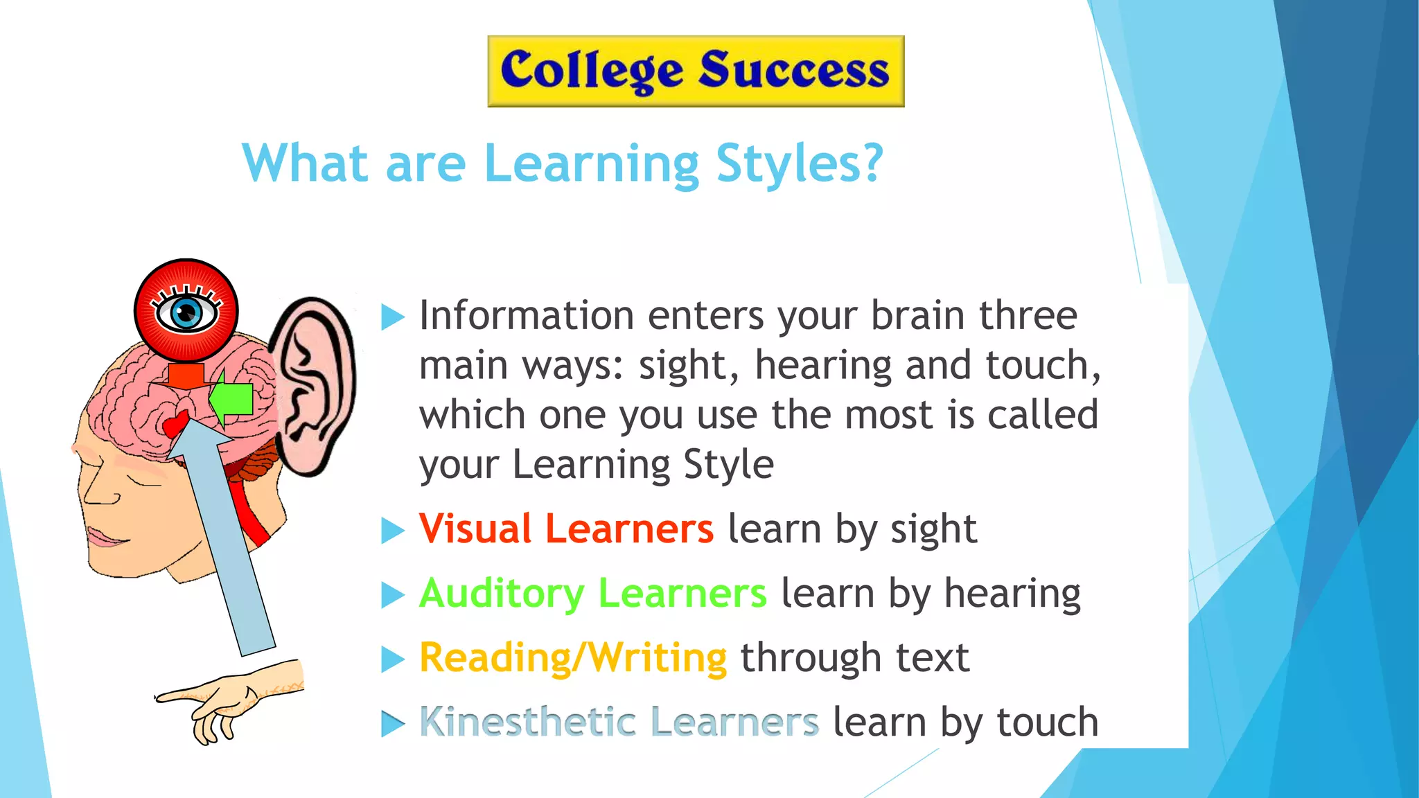 Lesson 2 Learning Styles | PPTX