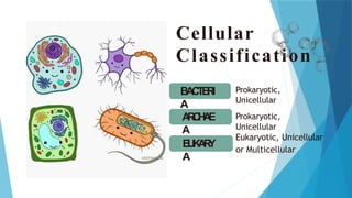LESSON 2 - MICROBIOLOGY.pptx Microbial Cell Structure and Taxonomy ...