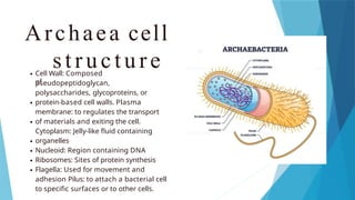 LESSON 2 - MICROBIOLOGY.pptx Microbial Cell Structure and Taxonomy | PPTX | Geography | Science