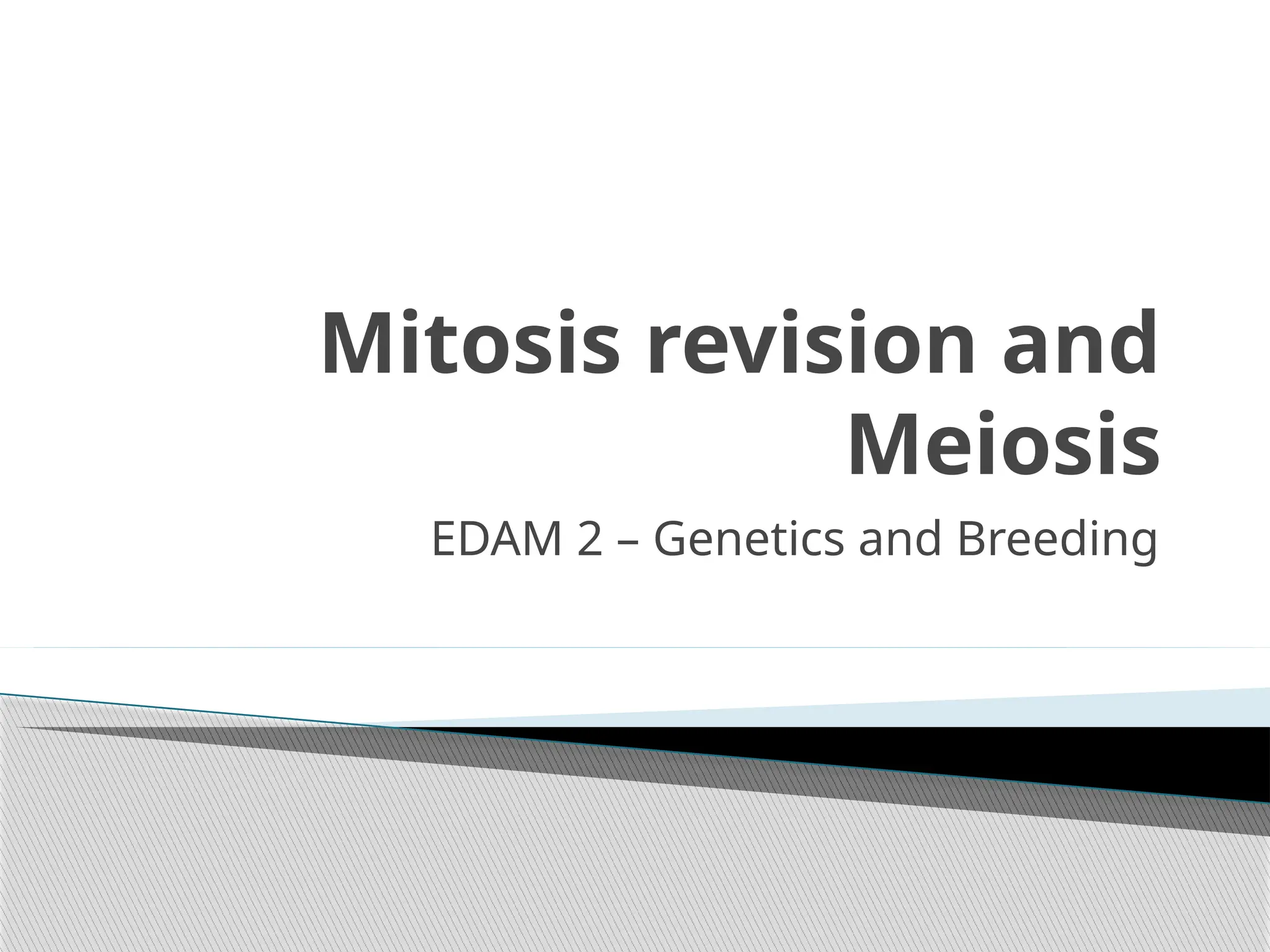 Mitosis and meiosis revision and recap session | PPT