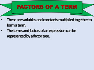 Parts of an Algebraic expression | PPTX
