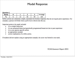 Lesson 2 phases of neural dvelopment 2013 | PDF