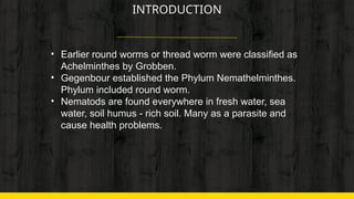 Lesson 2 - Phylum Aschelminthes for high school.pptx