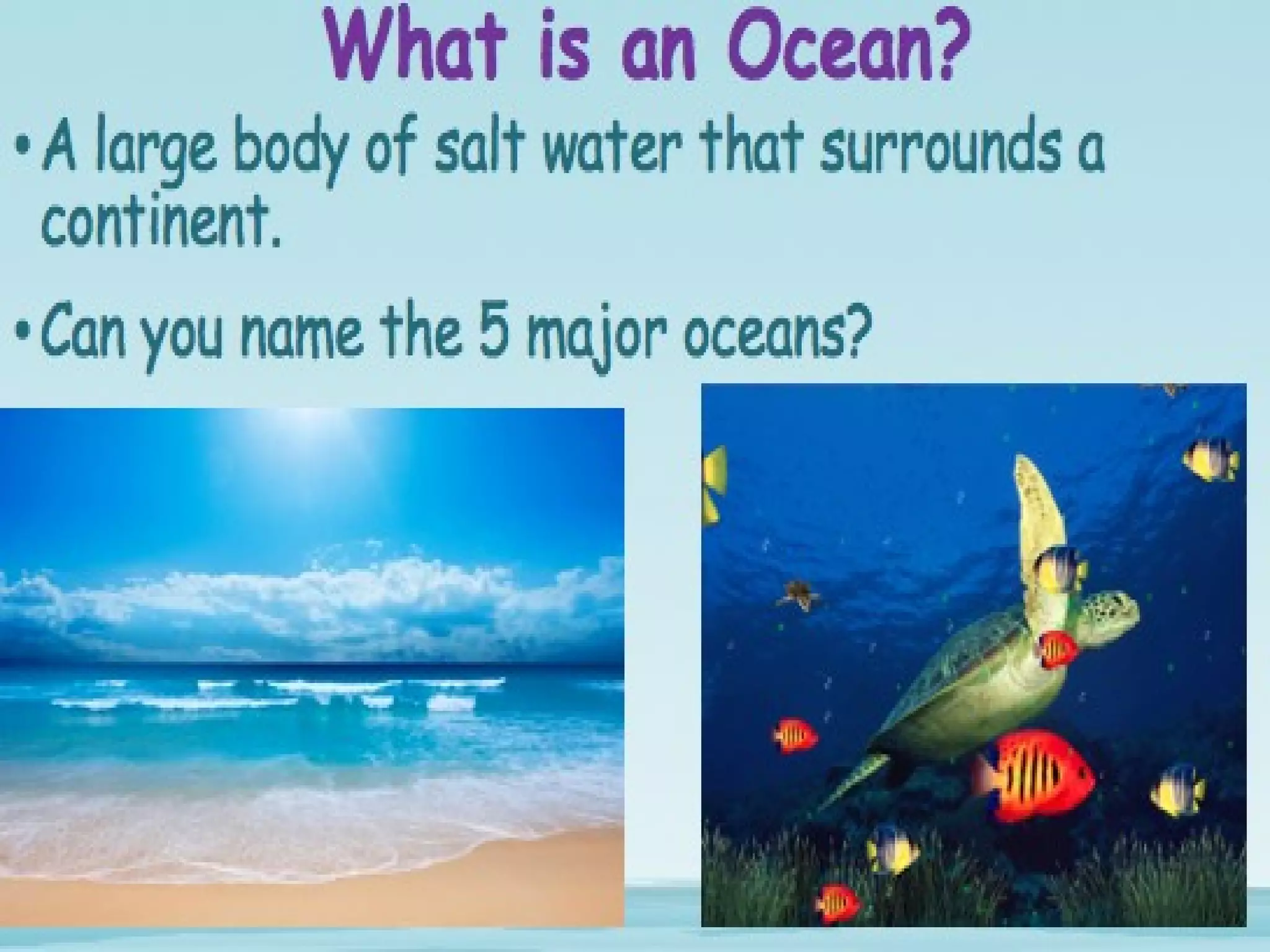 Physical & Human Characteristics | PPT