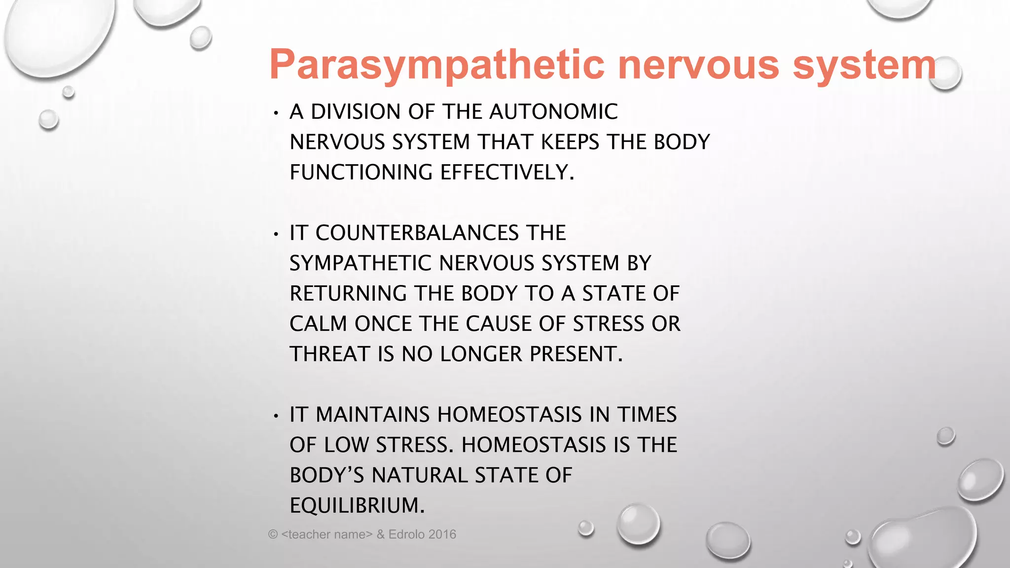 Lesson 2 somatic and autonomic ns | PPTX