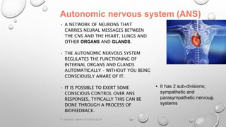 Lesson 2 somatic and autonomic ns | PPTX