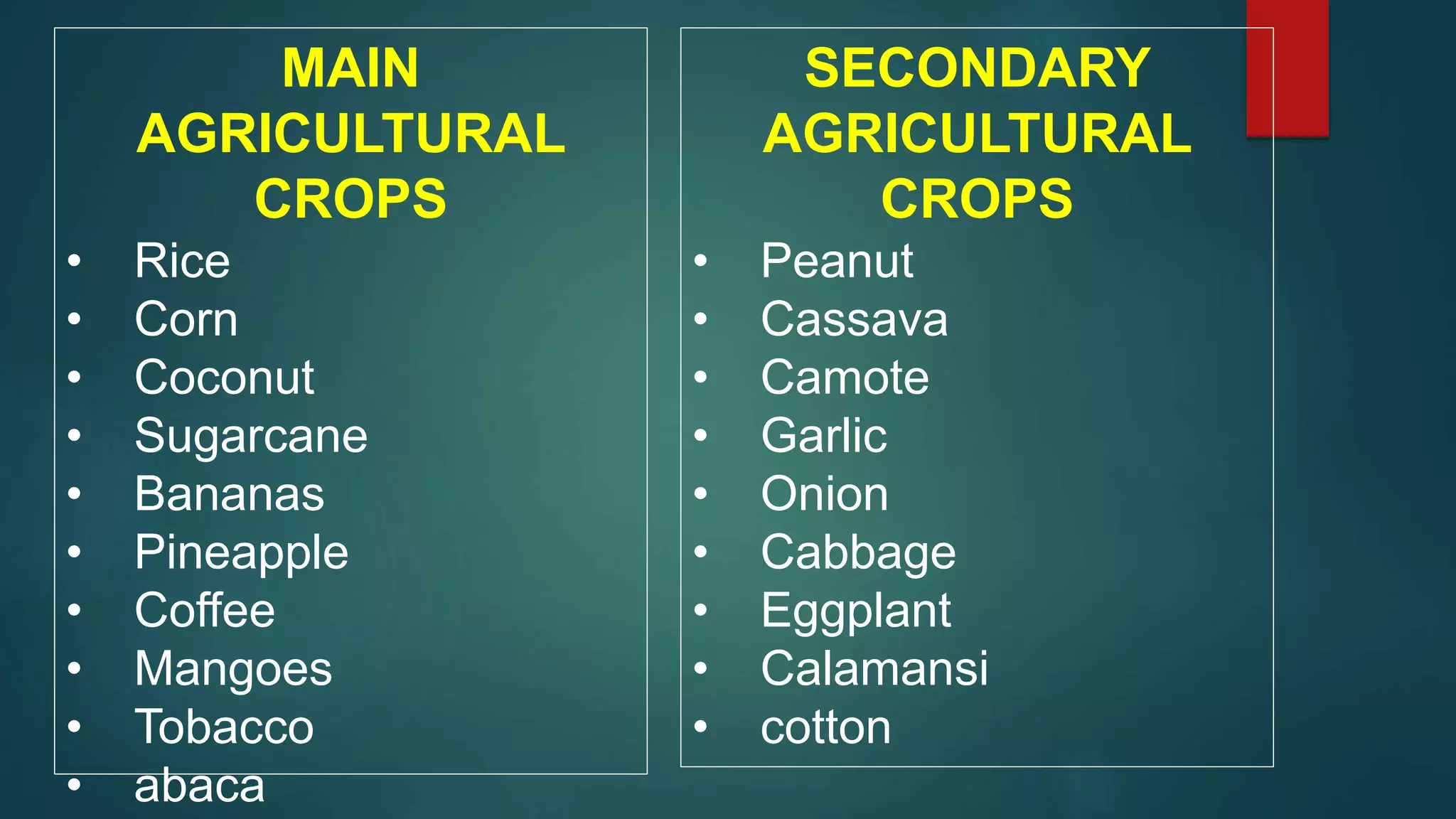 Lesson 2-SUCESSFUL ORCHARD GROWERS IN THE PHILIPPINES.pptx