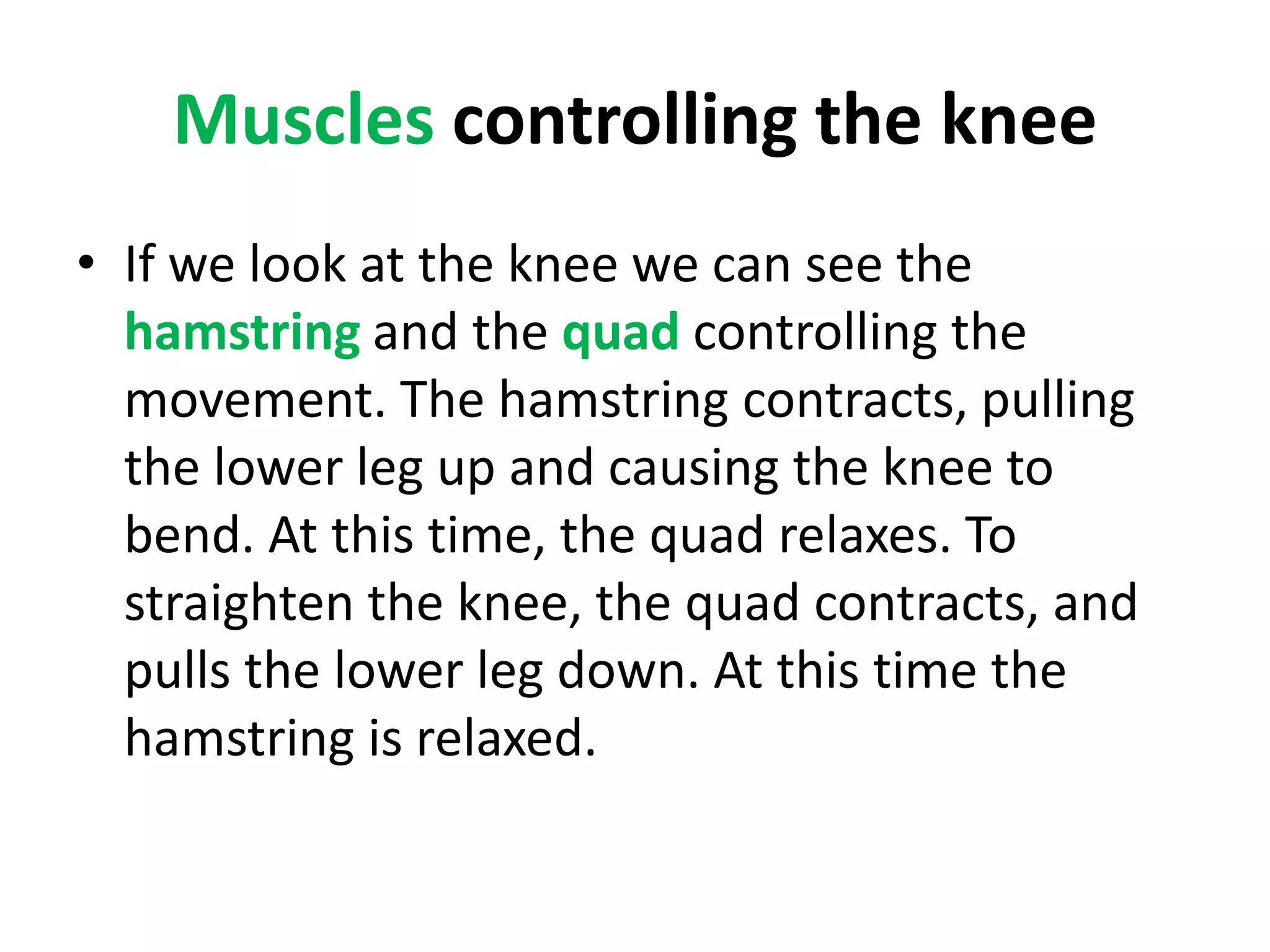 Lesson 2 tendons, ligaments, cartilage and joints | PPTX