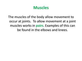 Lesson 2 tendons, ligaments, cartilage and joints | PPTX