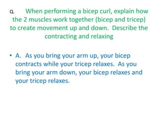Lesson 2 tendons, ligaments, cartilage and joints | PPTX