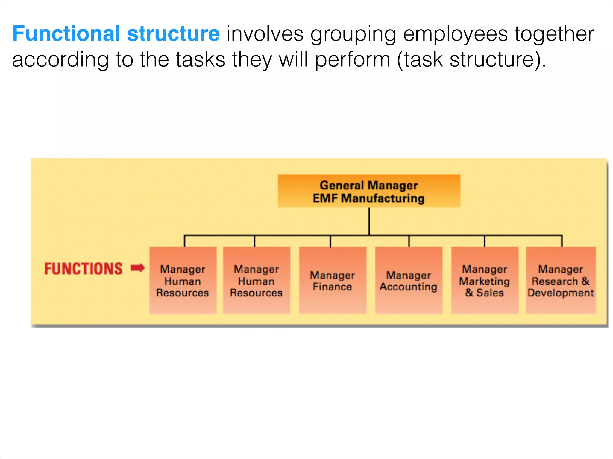 Lesson 2 types of management struture | PDF