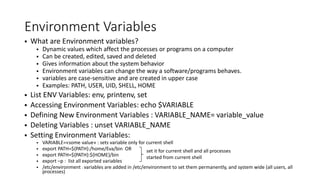 Lesson 2 Understanding Linux File System | PDF