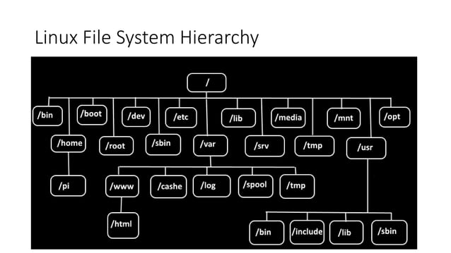 Lesson 2 Understanding Linux File System | PPT Lesson 2 Understanding Linux File System | PPT