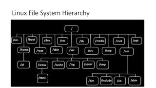 Lesson 2 Understanding Linux File System | PPT
