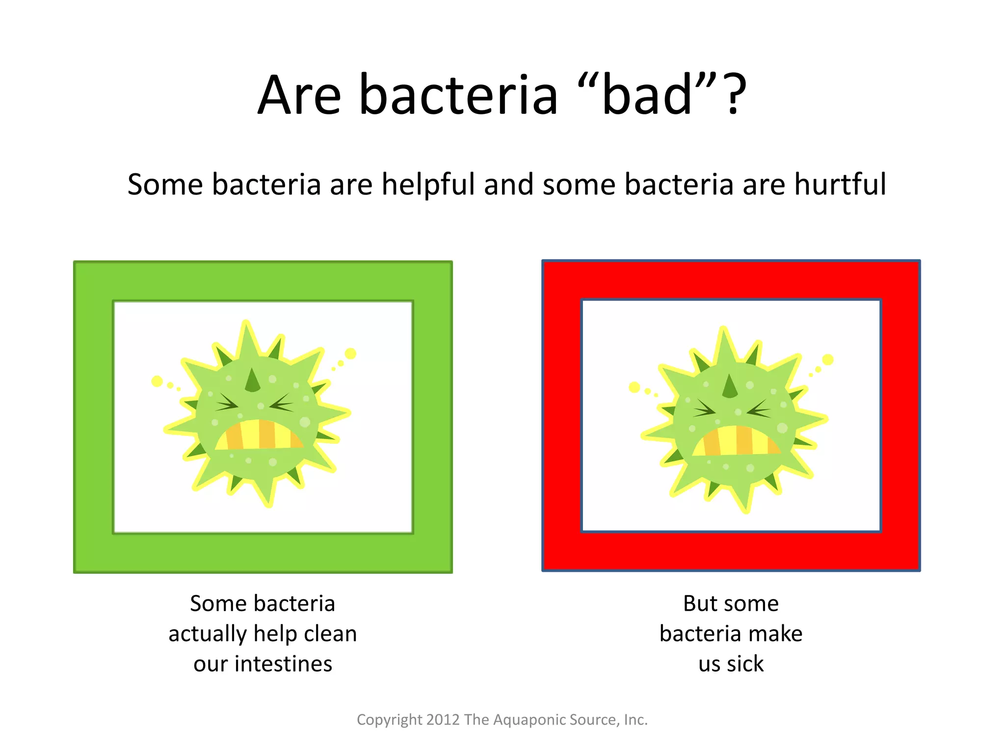 Lesson 20 bacteria | PPTX