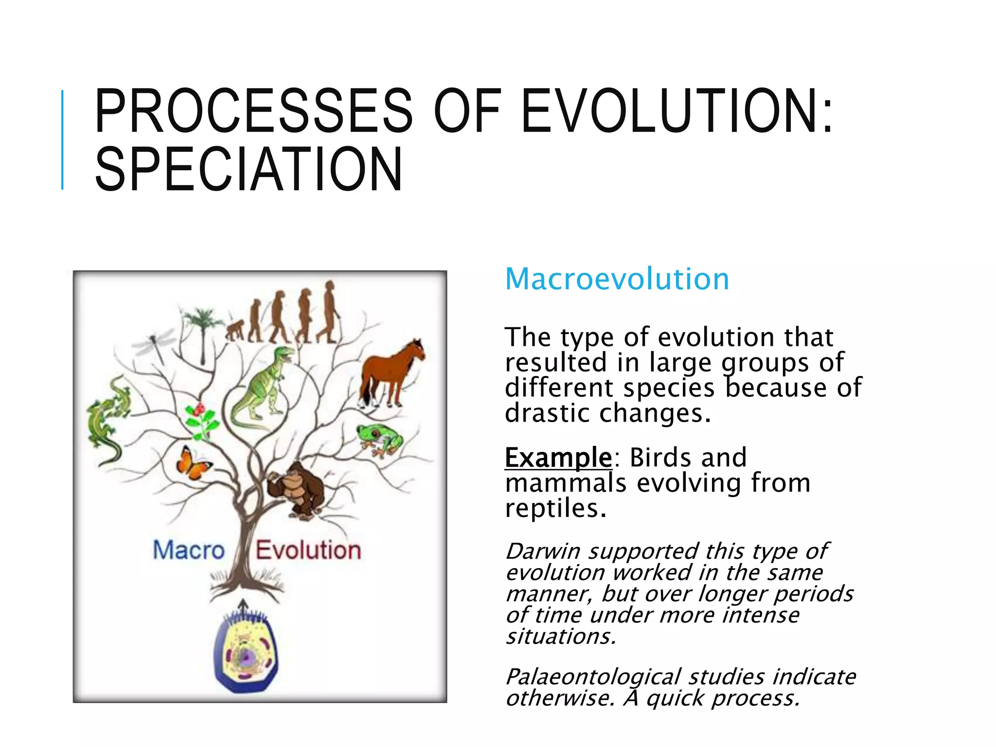 Lesson 20 speciation | PPT