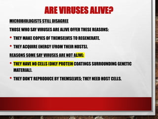 Lesson 20 viruses | PPT