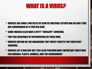Lesson 20 viruses | PPT