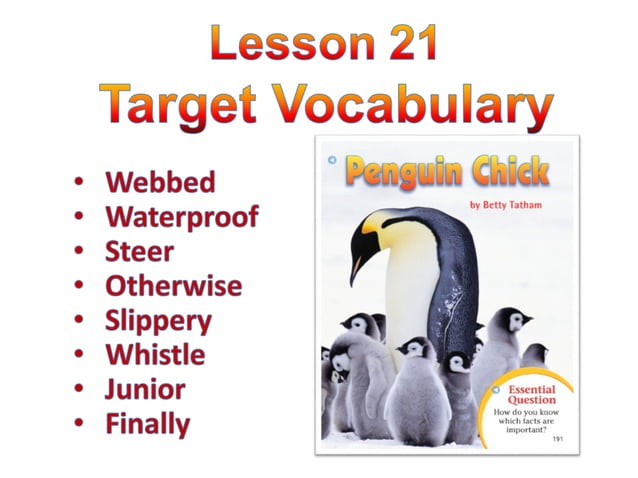 Lesson 21 Penguin Chick | PPT | Birds | Pets