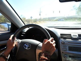 Lesson 21 Penguin Chick | PPT