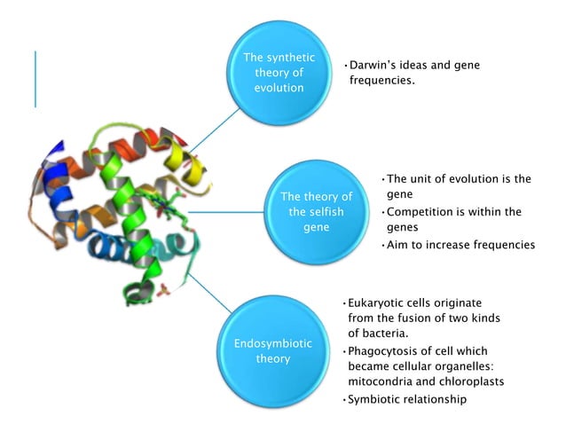 Lesson 21 present day evolutionary theories | PPTX | Biological ...