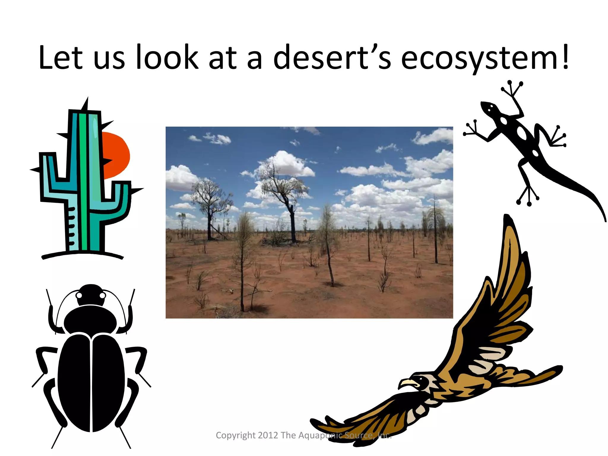 Lesson 23 ecosystem | PPTX | Geography | Science