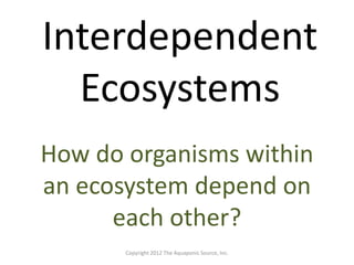 Lesson 23 ecosystem | PPTX | Geography | Science