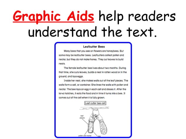 Lesson 23 graphic aids | PPT