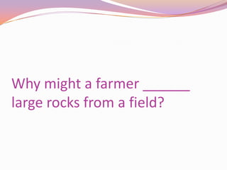 Storytown Lesson 24 Vocabulary | PPT