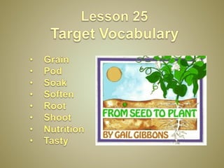 Lesson 25 - From Seed to Plant - 4th basic | PPT