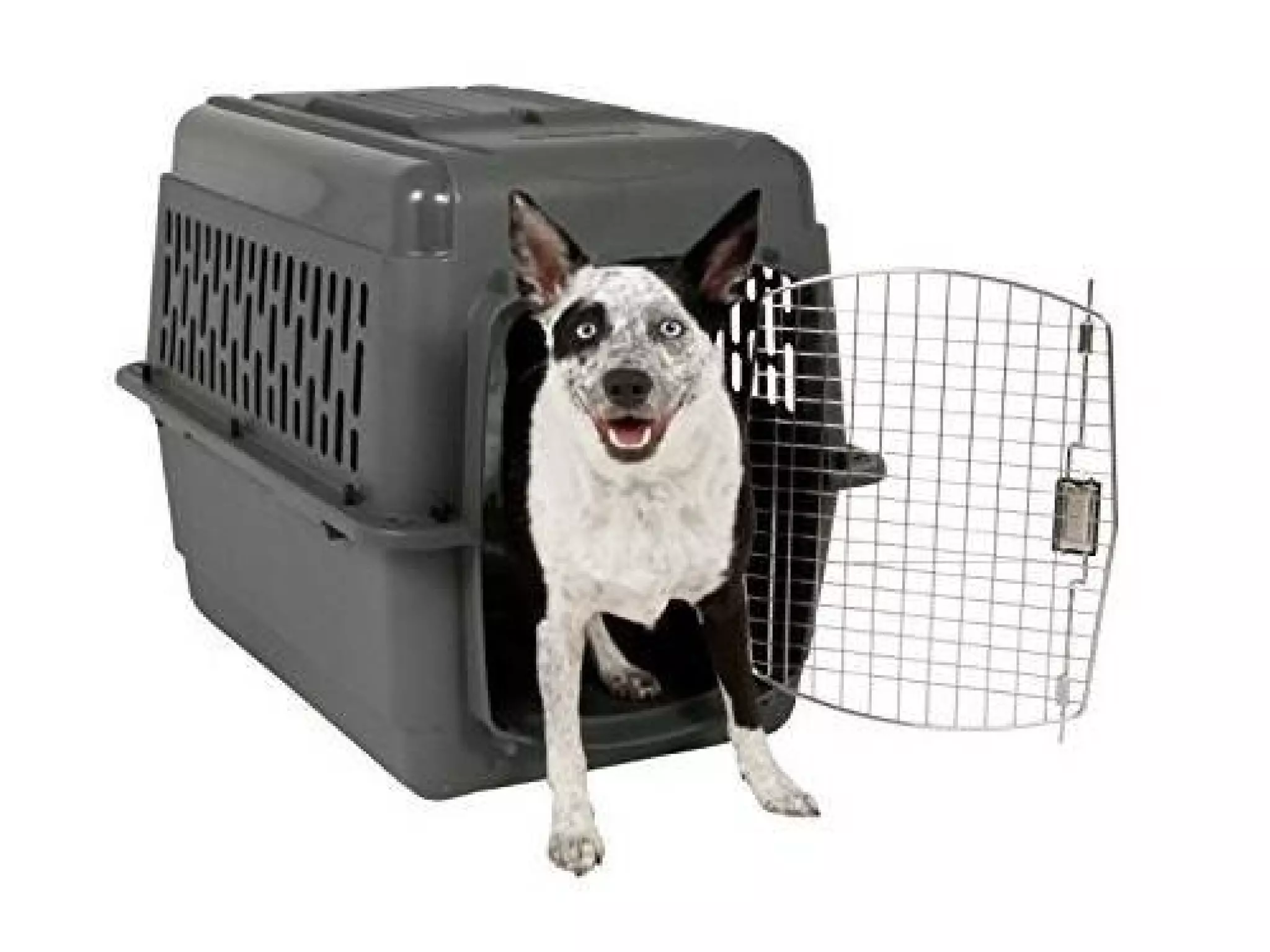 Lesson 26 - The Mysterious Tadpole - 2017 | PPT