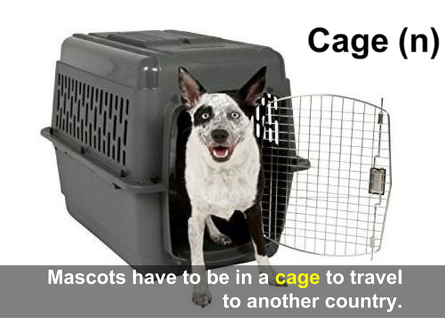 Lesson 26 - The Mysterious Tadpole - 2017