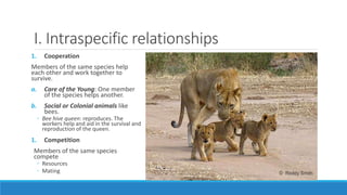 Lesson 26 relationship between species | PPTX
